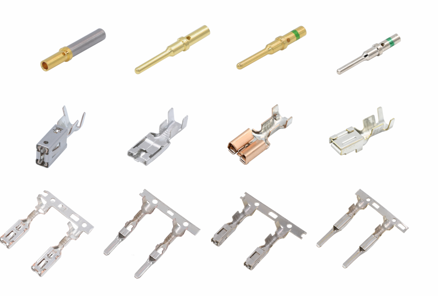 TERMINAL CUSTOM - Kinkong